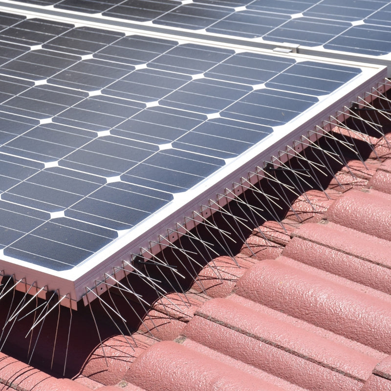 Solar Panel Bird Spikes Stainless Steel | BUY ONLINE – Easy Pest Supplies