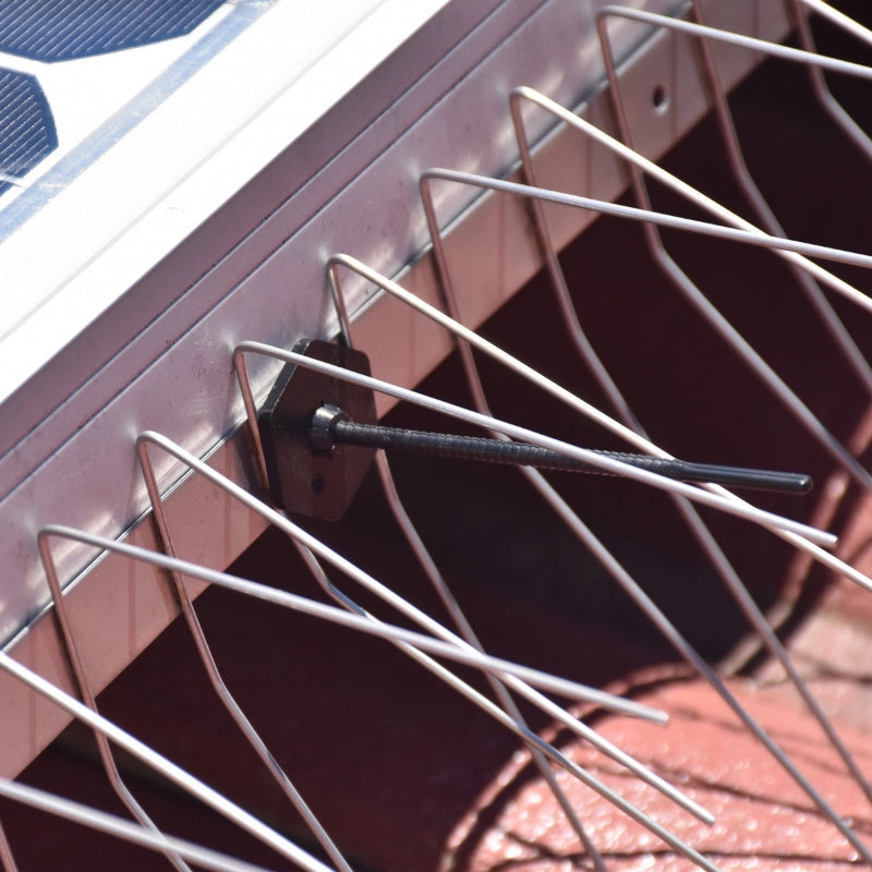Solar Panel Bird Spikes Stainless Steel | BUY ONLINE – Easy Pest Supplies