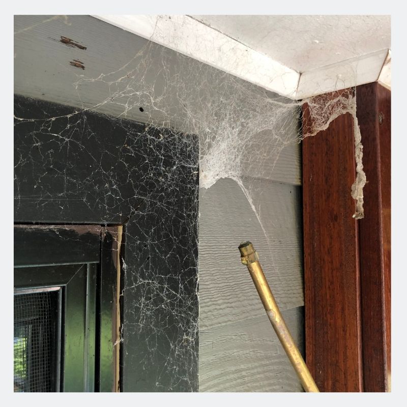 Temprid 75 Residual Insecticide 1 Litre or 5 Litre | BUY ONLINE – Easy ...