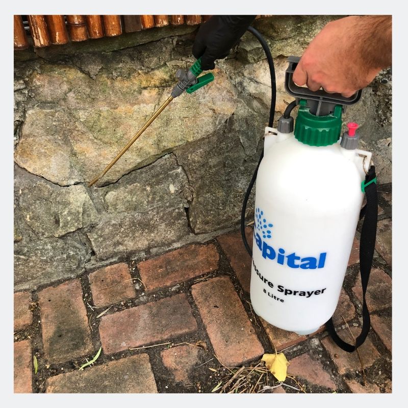 Black Ant Control Deluxe DIY Kit | Bait, Insecticide & Bait Stations ...