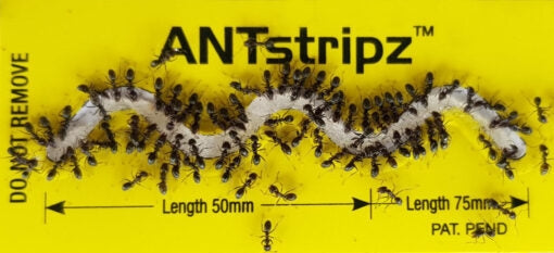 Ant Stripz Professional Platform for Ant Gel Bait Application Pack 120 ...