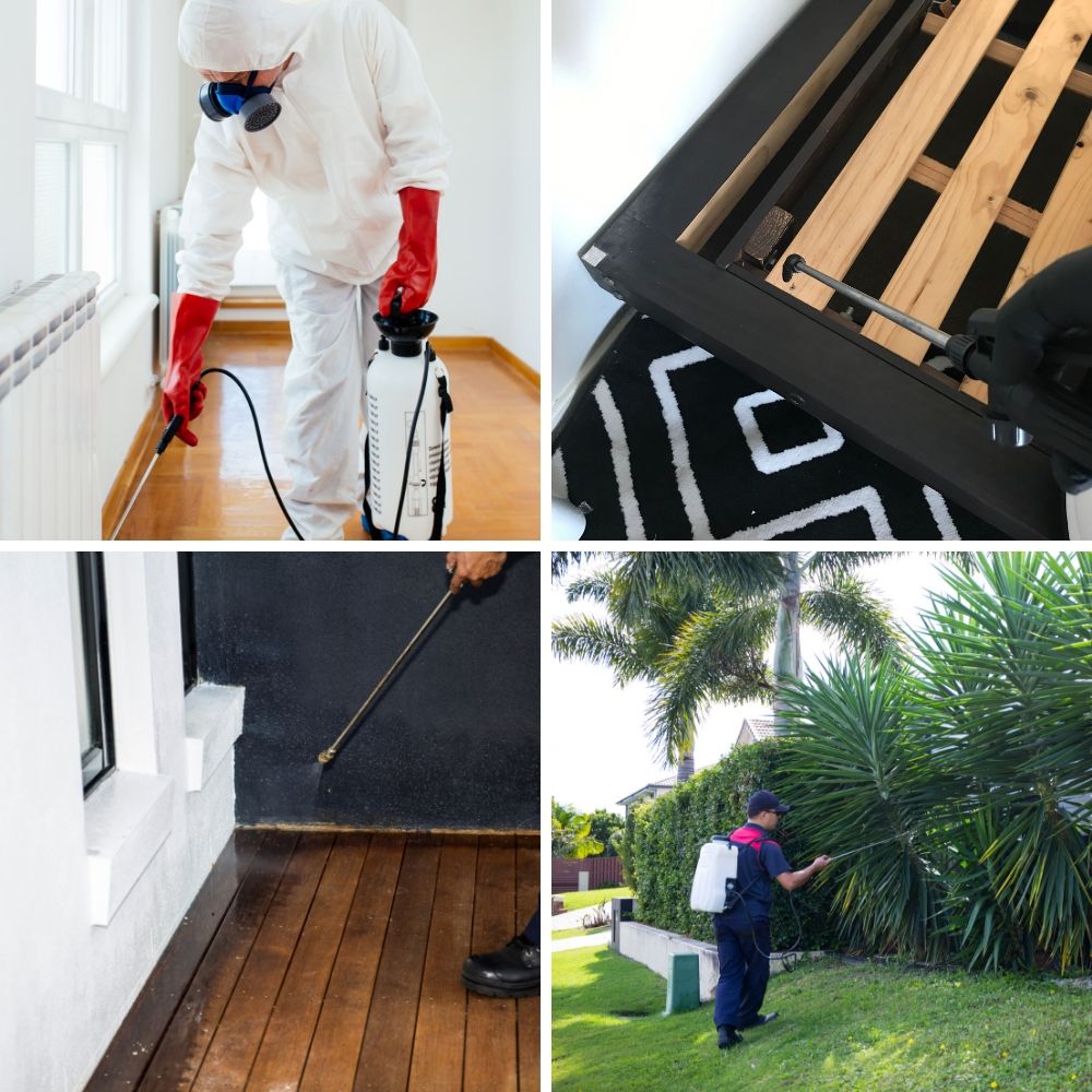 Temprid 75 Residual Insecticide 1 Litre or 5 Litre | BUY ONLINE – Easy ...