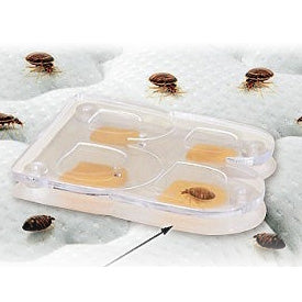 Bed Bug Monitor | Detect Bedbugs Early | BUY ONLINE – Easy Pest Supplies