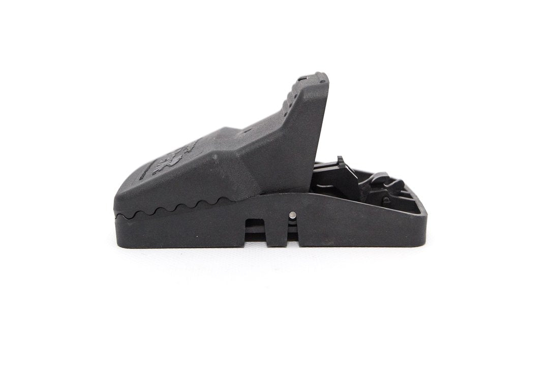 Trapper T-Rex Rat Trap | Snap Trap | BUY ONLINE – Easy Pest Supplies