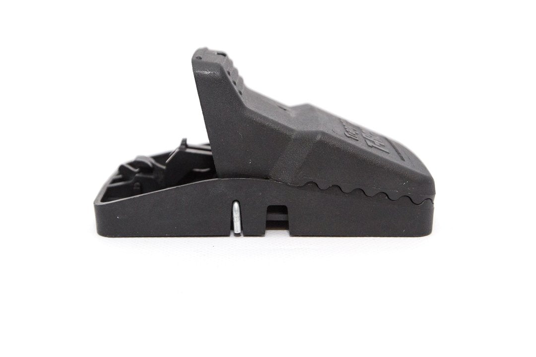 Trapper T-Rex Rat Trap | Snap Trap | BUY ONLINE – Easy Pest Supplies