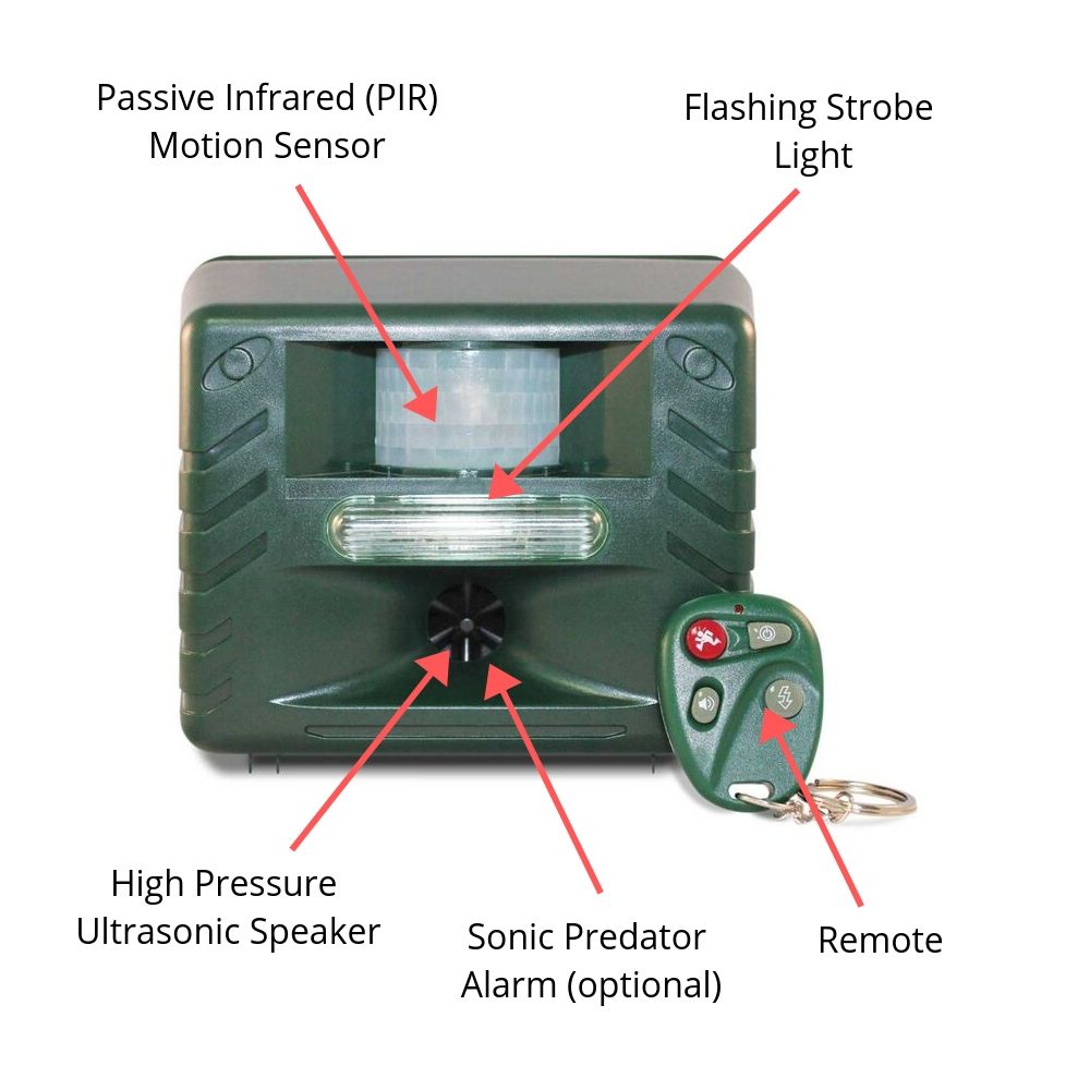 Ultrasonic Possum Deterrent | Humane Repeller | BUY ONLINE – Easy Pest ...