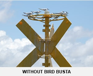 Bird Busta Bird Sweep Bird Deterrent | BUY ONLINE – Easy Pest Supplies