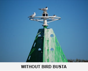 Bird Busta Bird Sweep Bird Deterrent | BUY ONLINE – Easy Pest Supplies